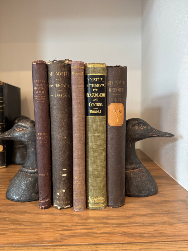 Set of 5 Vintage Books – Birch Design Co